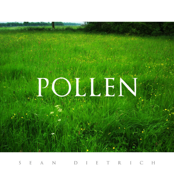 Pollen - Sean of the South
