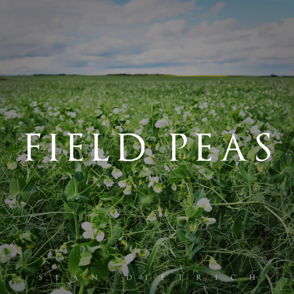 Field Peas - Sean of the South